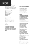 Versuri Cantece Iarna | PDF