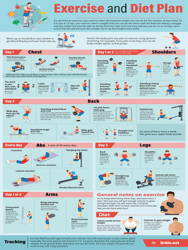 DR Alo Diet and Exercise Plan | PDF | Calorie | Weight Training