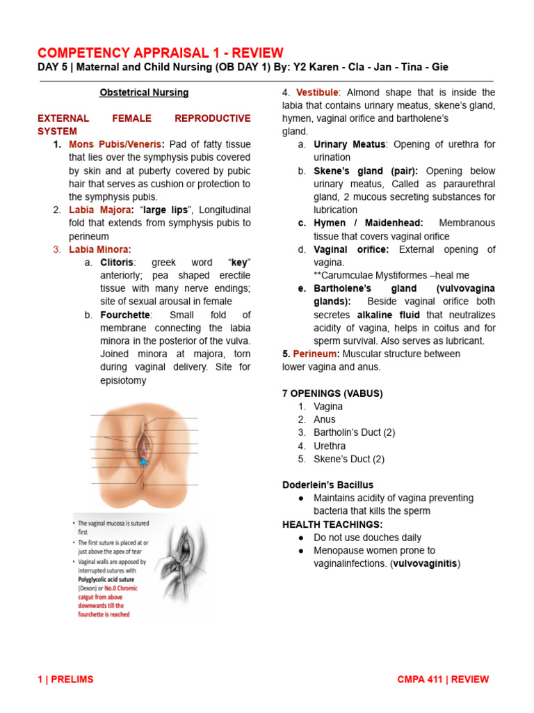 DAY-5-MCN-1 (1) | PDF | Menstrual Cycle | Labia