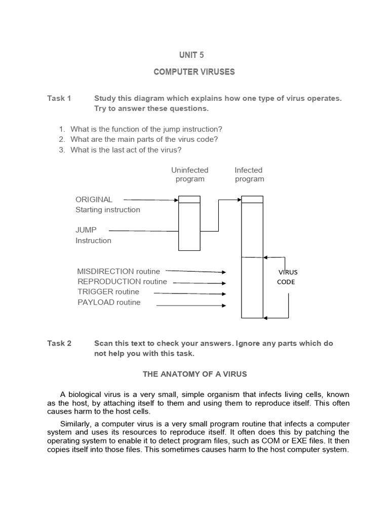unit5 | PDF | Computer Virus | Computing