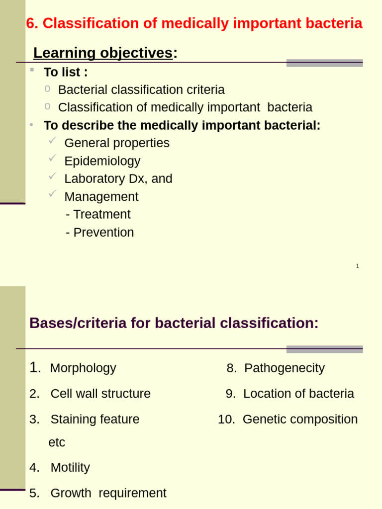 Classification of Medically Important Bacteria | PDF | Staphylococcus ...