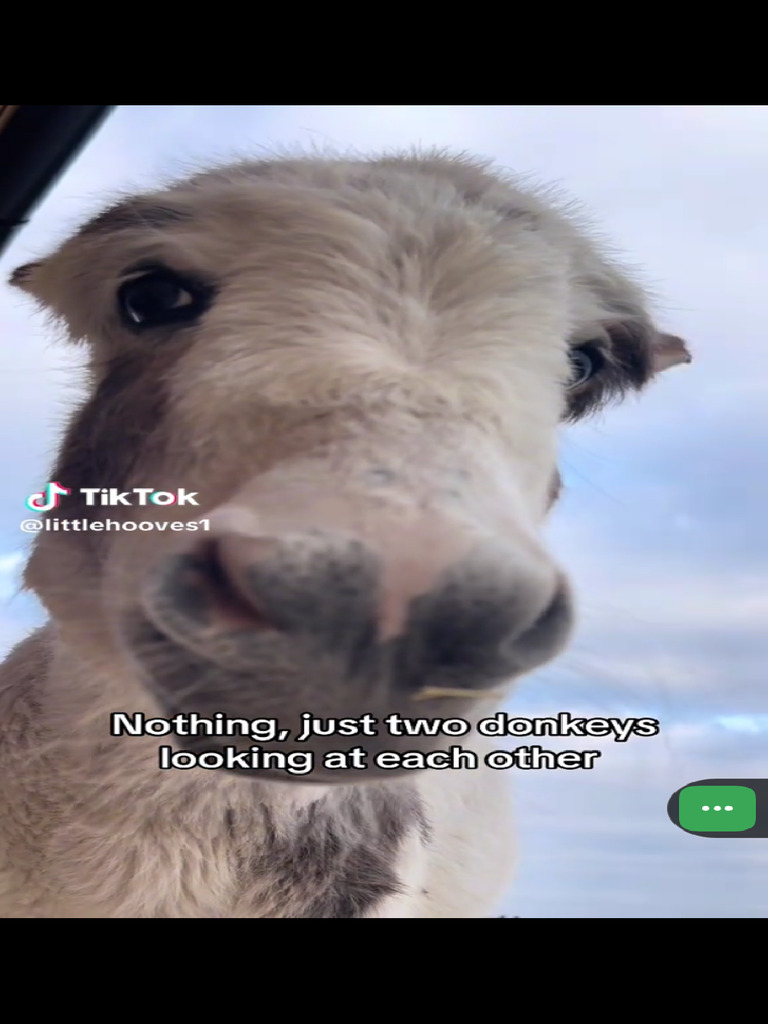 1ST SEMESTER EXAM Time Table | PDF