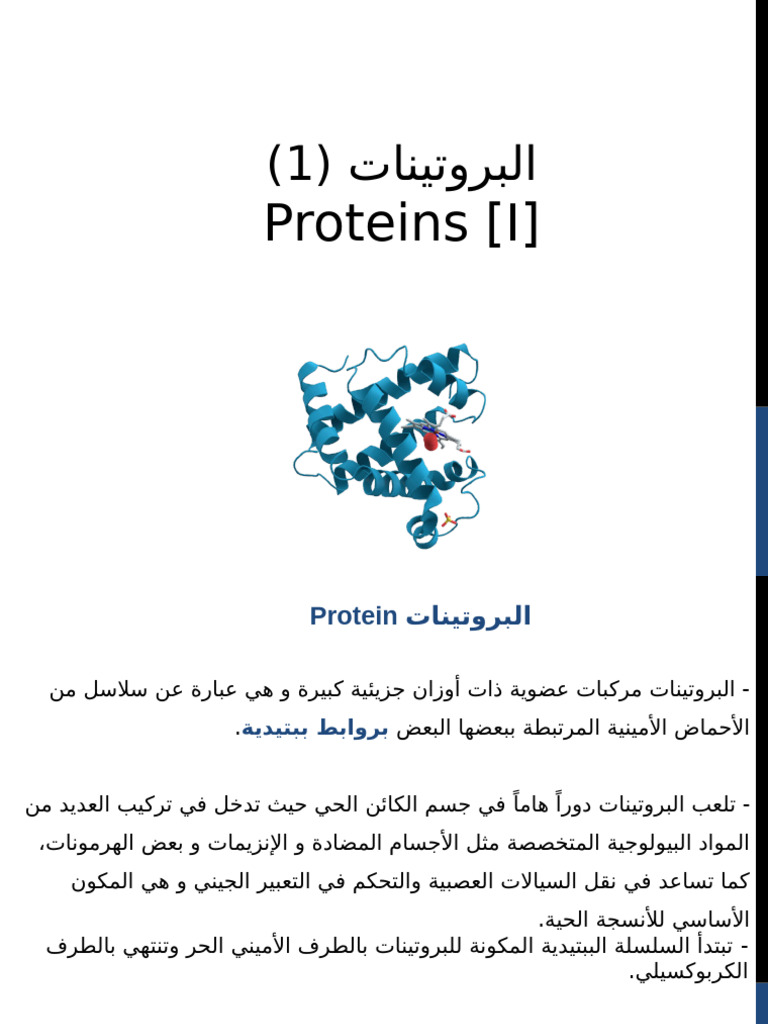 Lab 4 Proteins | PDF