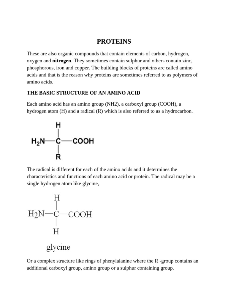 proteins | PDF | Amino Acid | Proteins