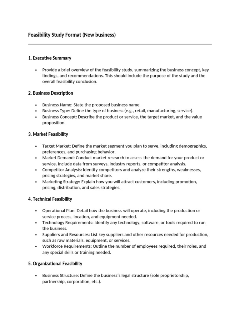 Feasibility Study Format (1) | PDF | Risk | Feasibility Study