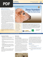All About Sheep | PDF