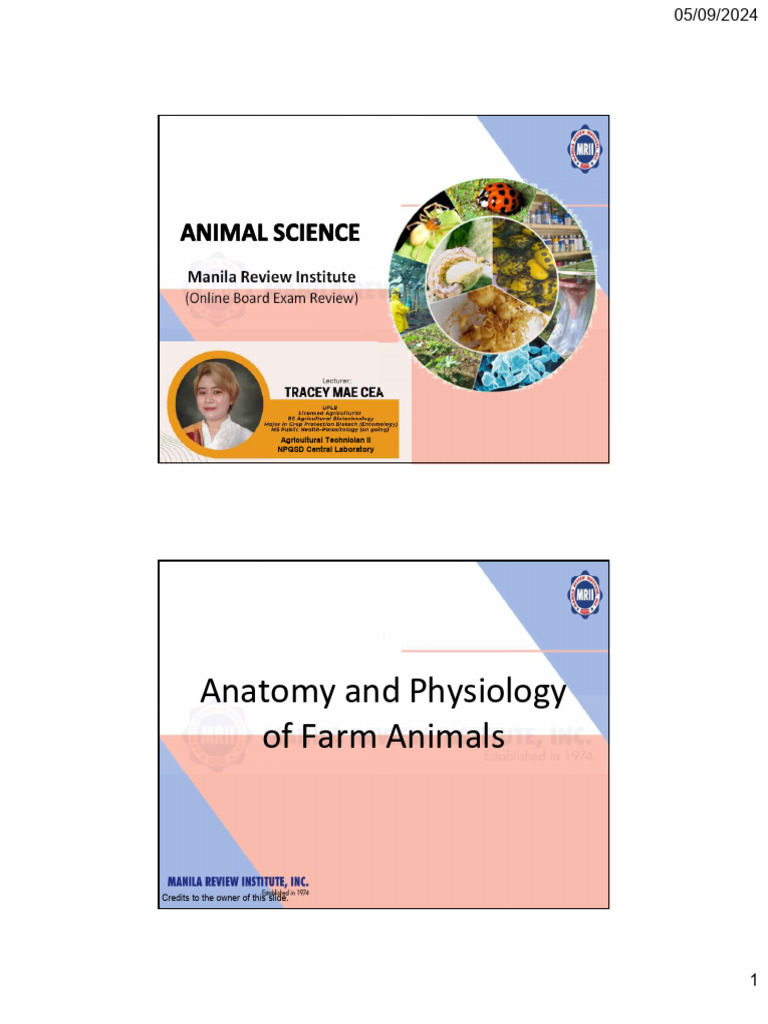 ABE- Animal Science | PDF | Stomach | Small Intestine