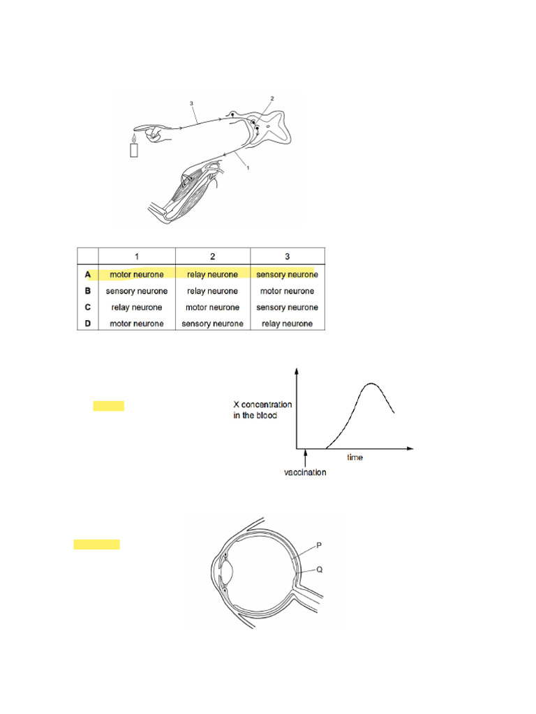 Self Assessment Answer Key | PDF | Human Body | Eye