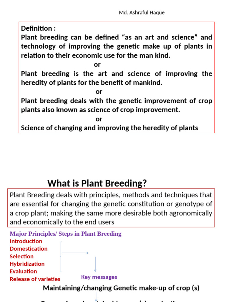 Introduction To Plant Breeding | PDF | Plant Breeding | Wheat