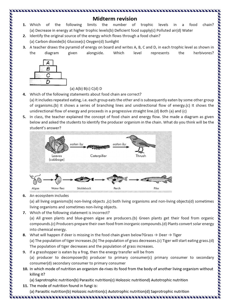 Food Chain and Nutrition Concepts Quiz | PDF | Nutrition | Diet & Nutrition