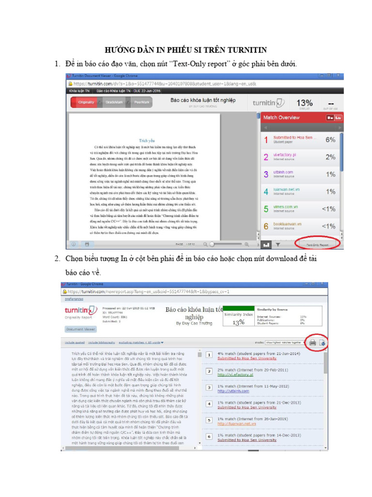Huong Dan in SI Tren Turnitin | PDF