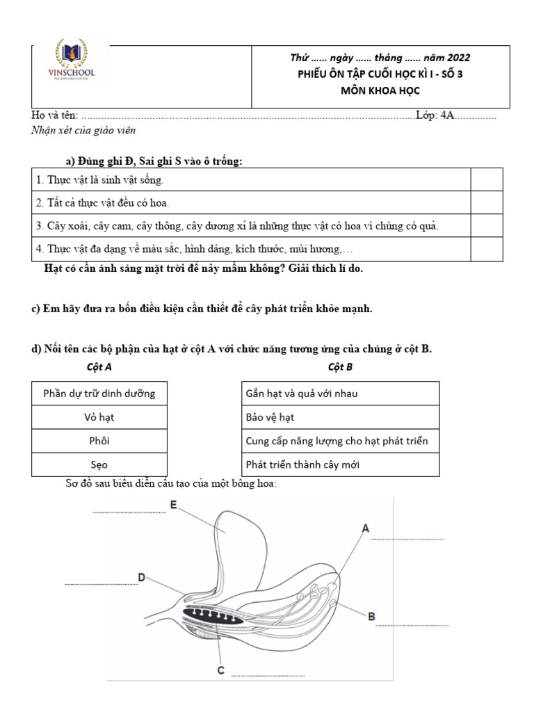 K4_KH_Đề 3. in-1 | PDF