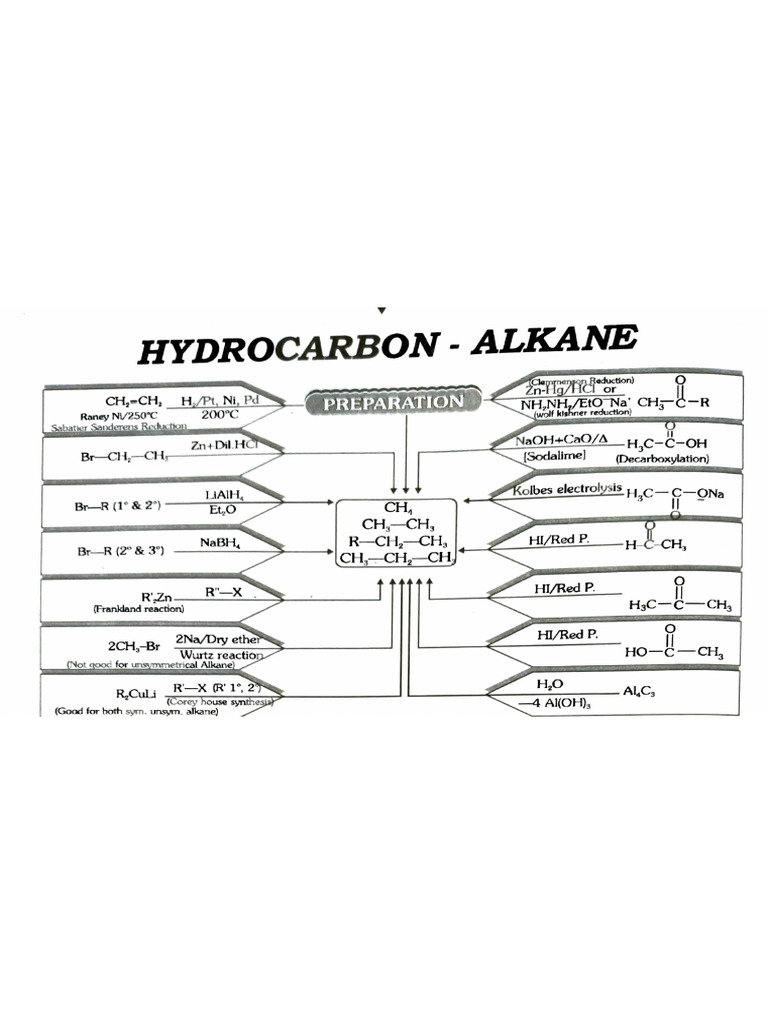 Hydrocarbons | PDF | Alkene | Organic Compounds