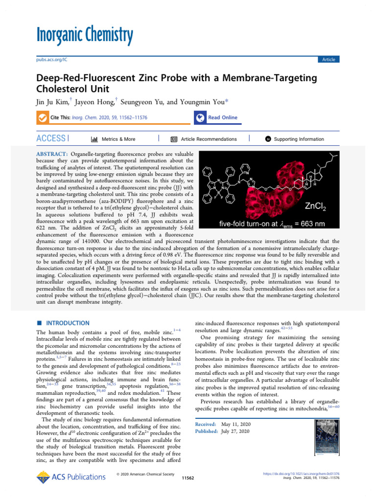 Deep-Red-Fluorescent Zinc Probe With A Membrane-Targeting | PDF | Cell Membrane | Cell Signaling