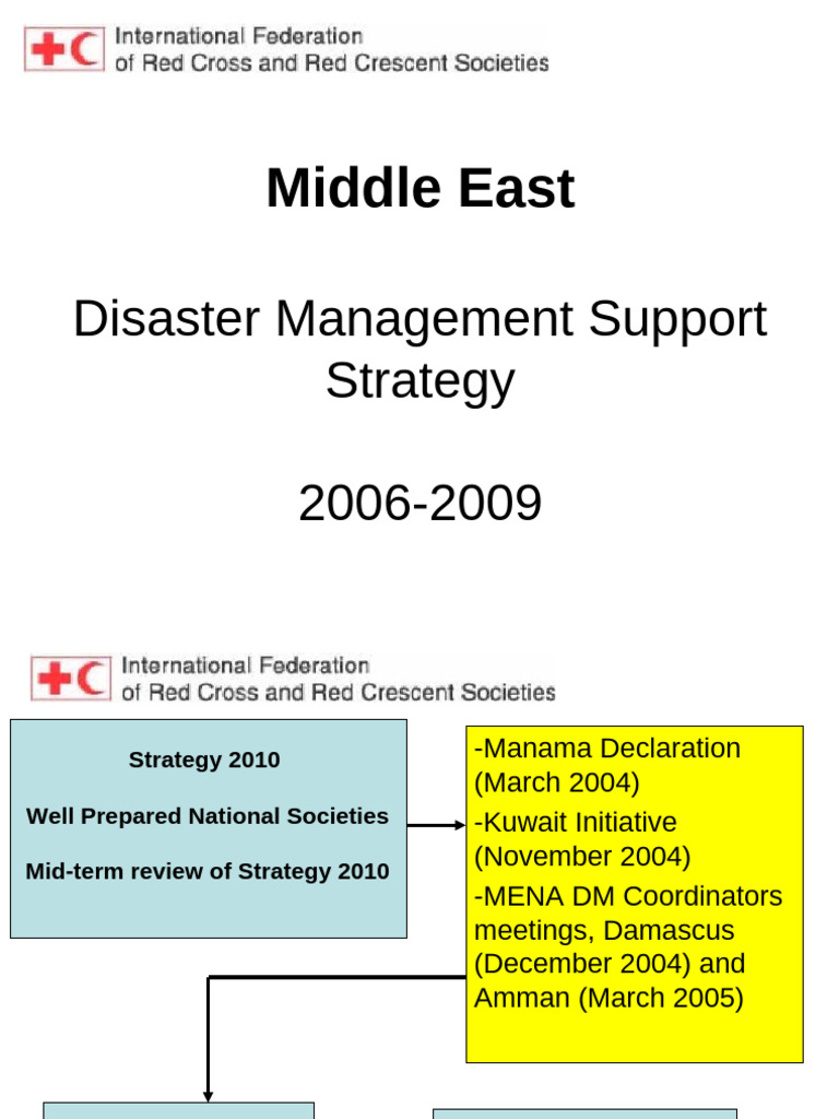 DM Support Strategy FINAL | PDF
