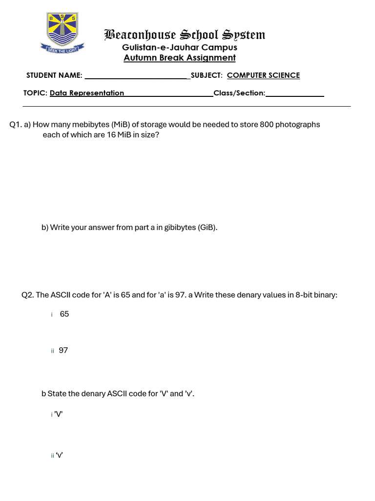 Grade 9 Assignment (1) | PDF | Data Compression | Encodings