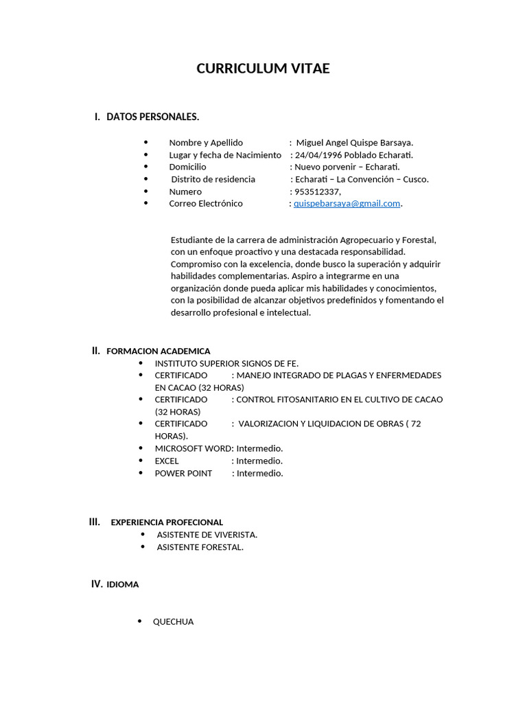 Curriculum Vitae Miguel | PDF