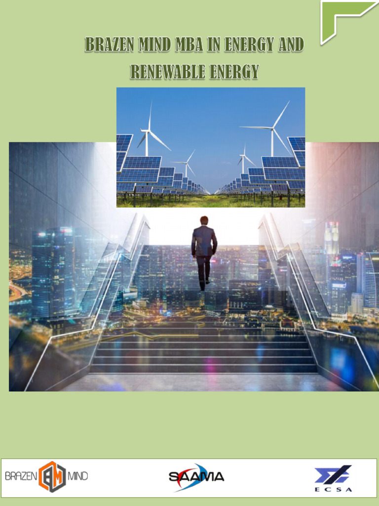 Brazen Mind MBA in Energy and Renewable Energy | PDF | Master Of ...