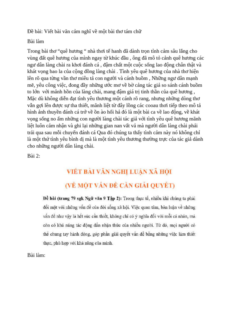 Bài viết Phùng Quan Danh | PDF