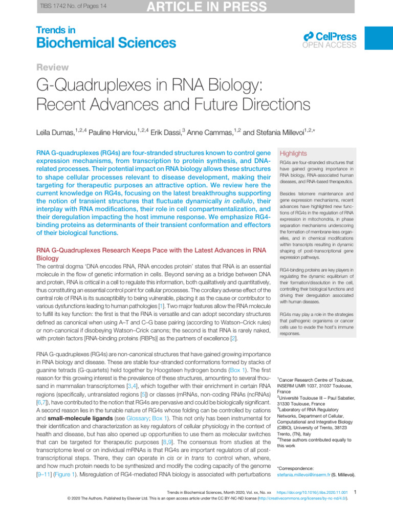 Advances in RNA G-Quadruplex Research | PDF | Rna | Gene Expression