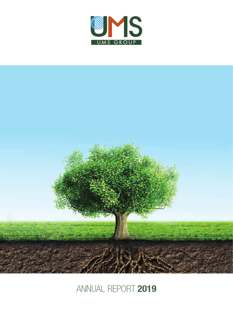 UMS Holdings Limited Annual Report 2019 | PDF | Dividend | Investing
