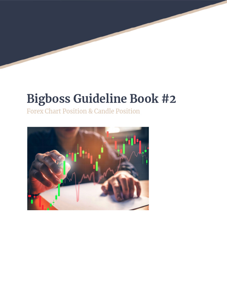 Guidline Book #2hh | PDF