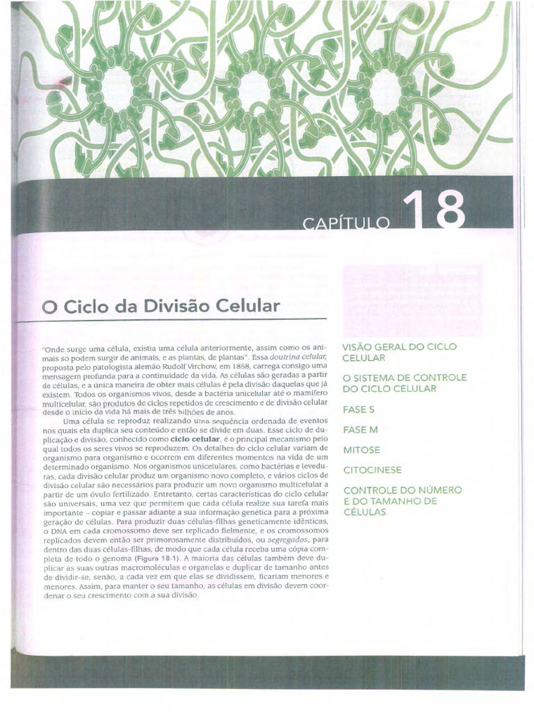018 Alberts Cap18 | PDF