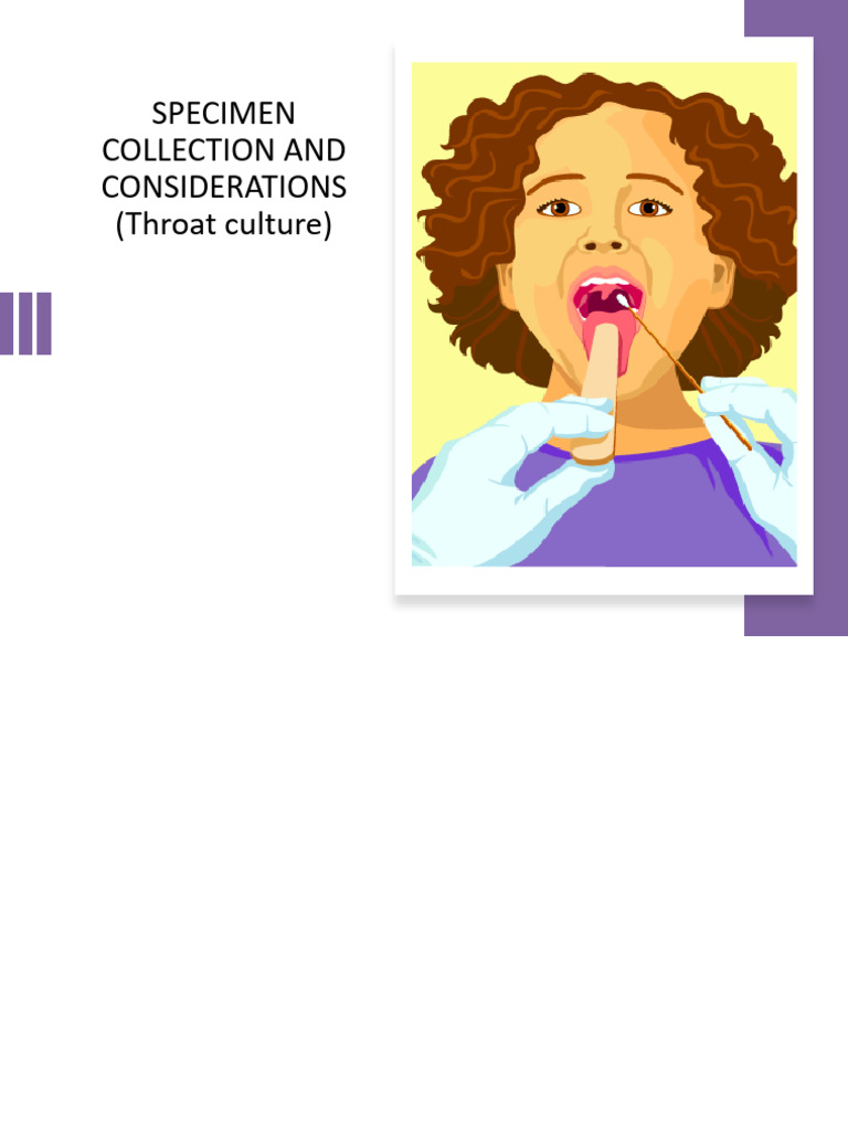 ACT 11 SPECIMEN COLLECTION AND CONSIDERATIONSThroat Culture | PDF ...