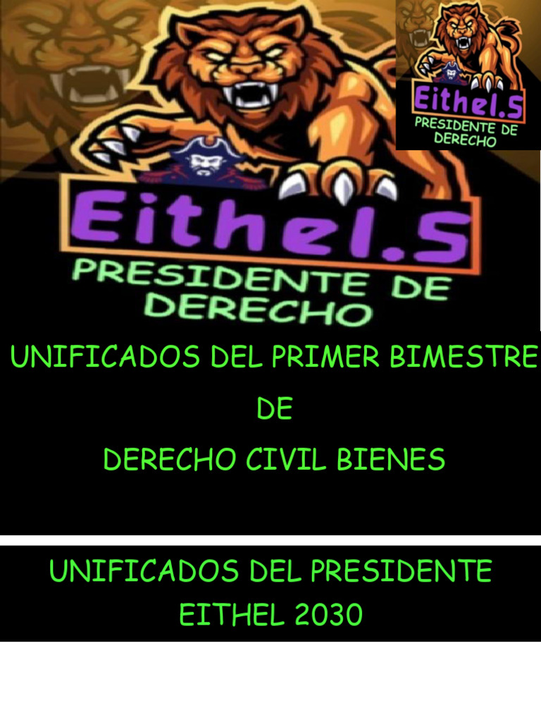 Unif. Derecho Civil Bienes 1b -_- Eithel 2030 | PDF | Propiedad ...