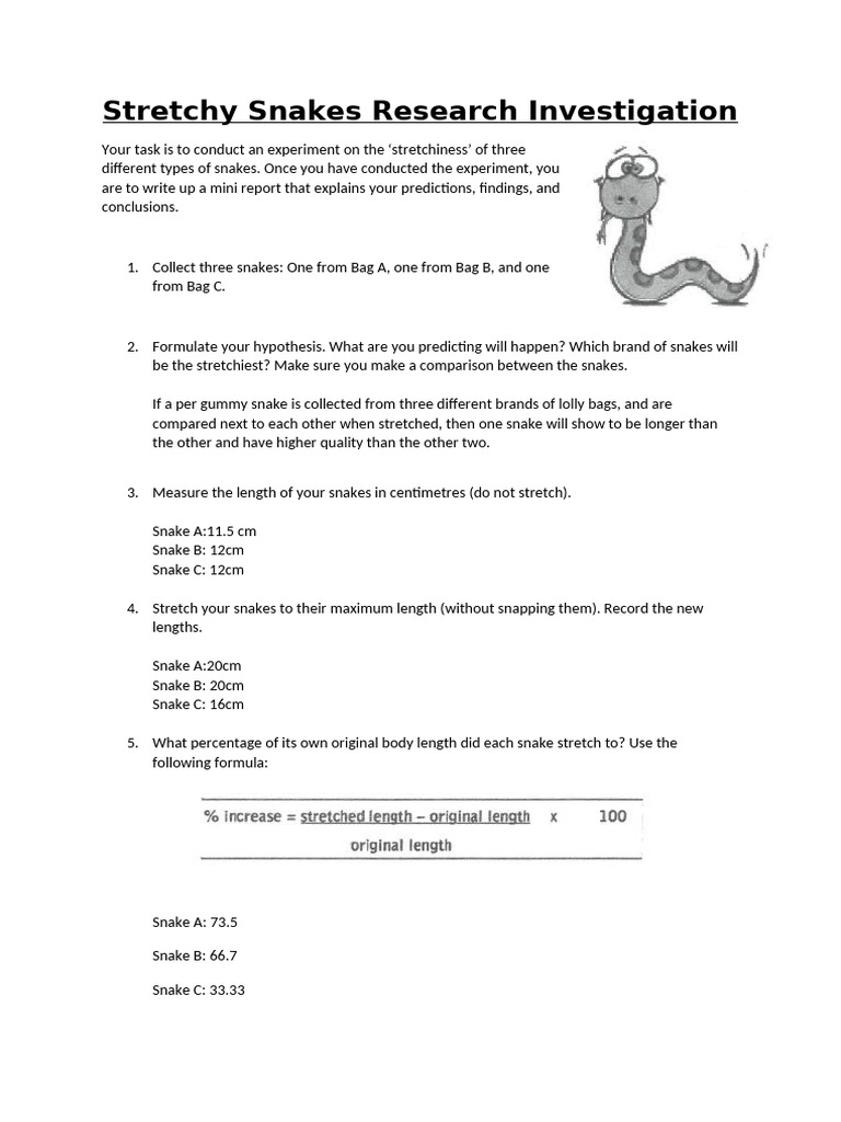 Stretchy Snakes Research Investigation | PDF | Experiment | Length