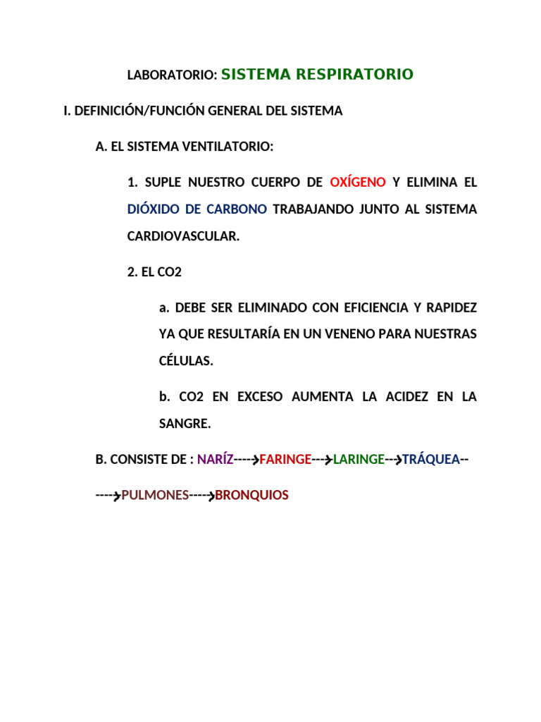 Biol 1014 Lab S Respiratorio 4 | PDF | Pulmón | Sistema respiratorio