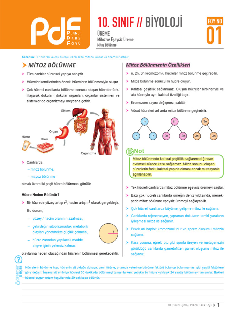@Tgarsiv 10. Sinif Bi̇yoloji̇ PDF | PDF