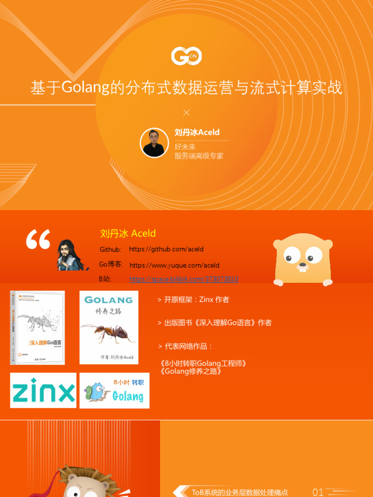 刘丹冰 基于golang的分布式运营与流式计算实战 1 Pdf