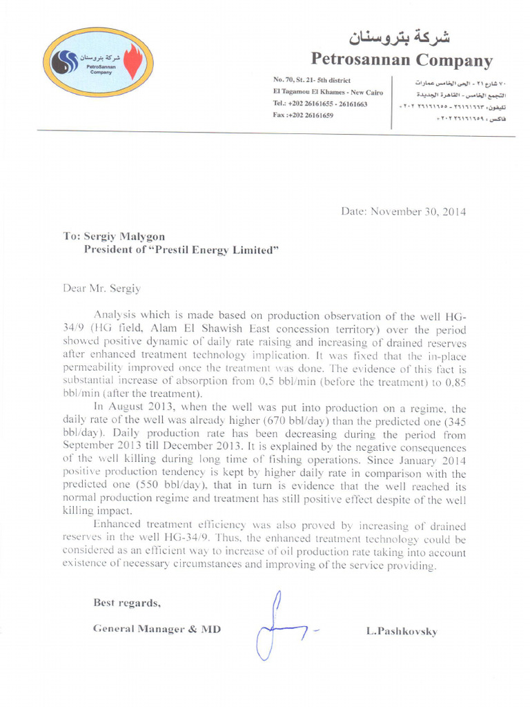 Egypt Report | PDF