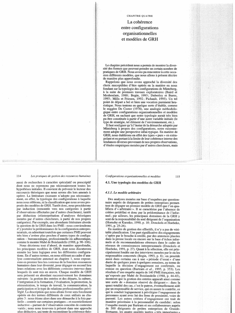 Pichault Nizet - Chapitre 4 | PDF