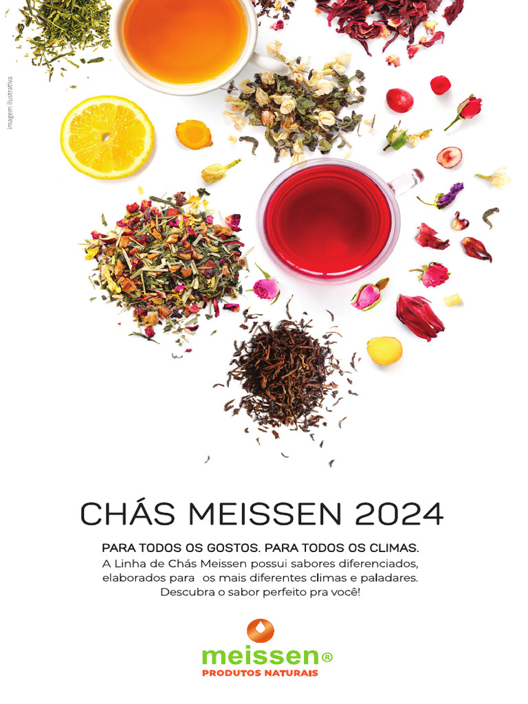Catalogo de Chas | PDF