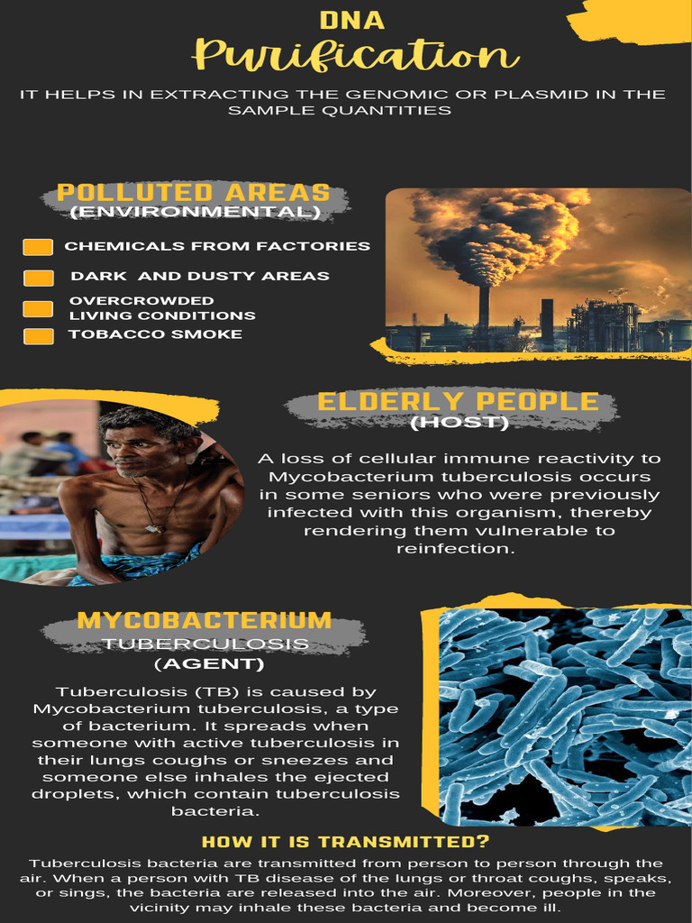 Mycobacterium Tuberculosis (Agent) - 20240722 - 211824 - 0000 | PDF