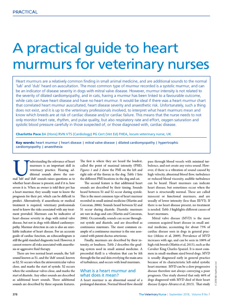 A practical guide to heart murmurs for veterinary nurses | PDF | Heart ...