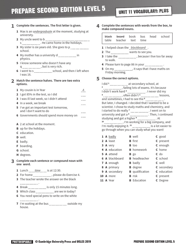 Level 5 Vocabulary Practice Guide | PDF