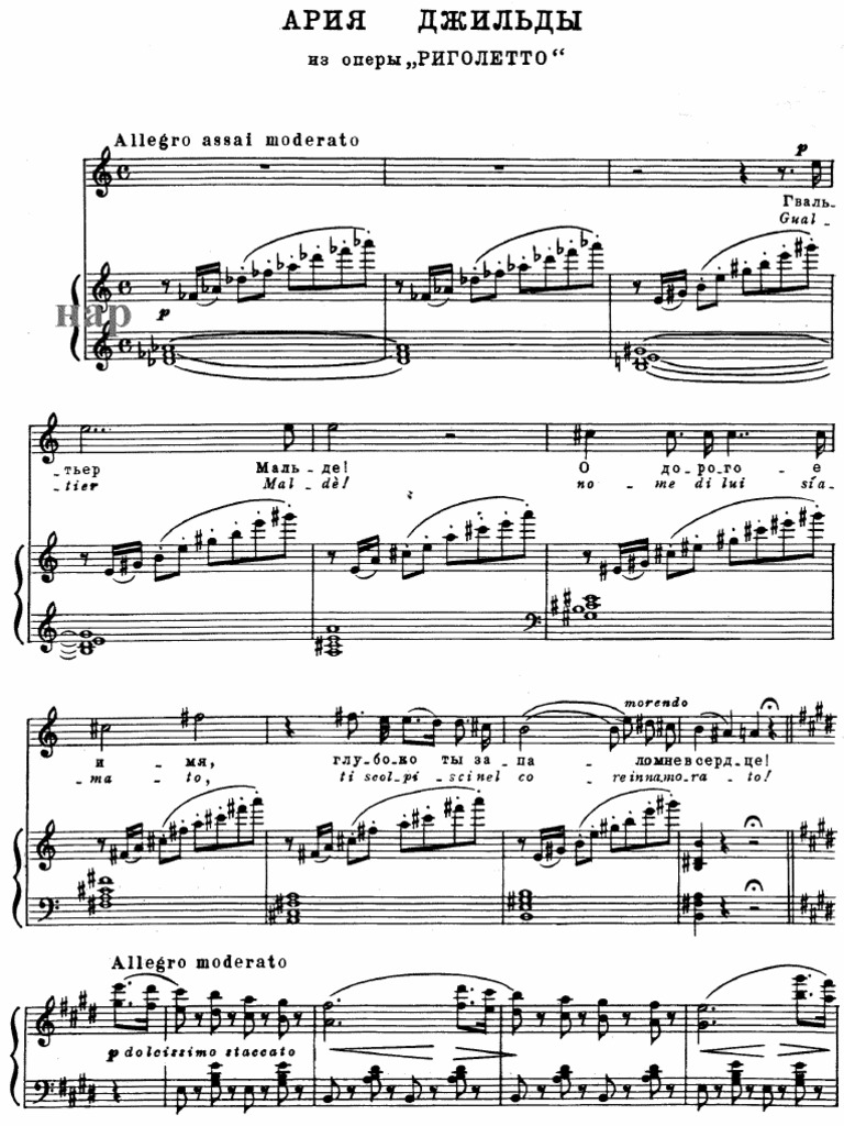 Caro Nome Verdi | PDF