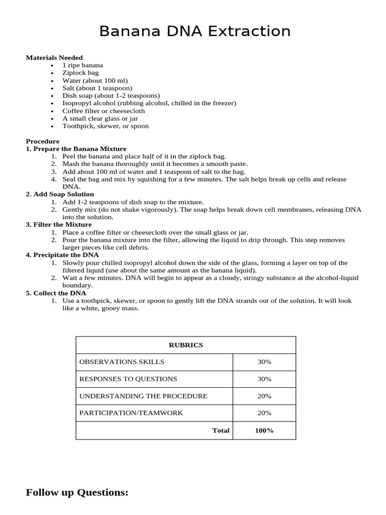 Banana DNA Extraction | PDF | Teaspoon