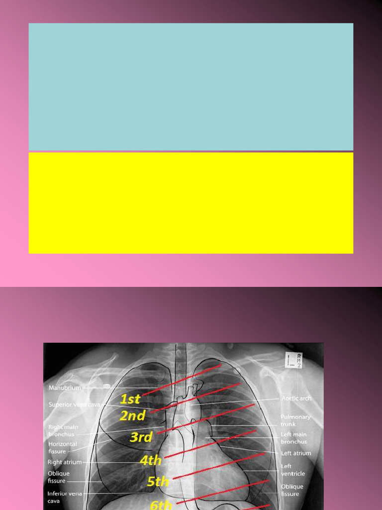 last_form_pof_under_graduate_Pediatric_Radiology_Copy_1 | PDF ...
