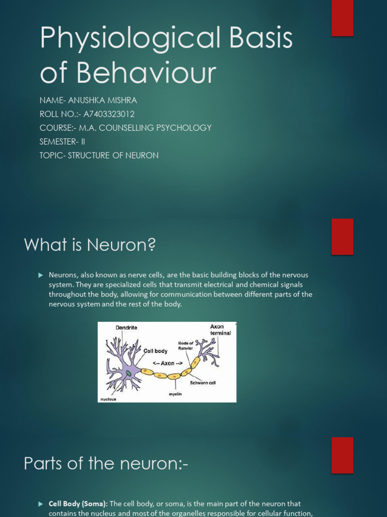 Physiological Basis of Behaviour | PDF | Neuron | Axon