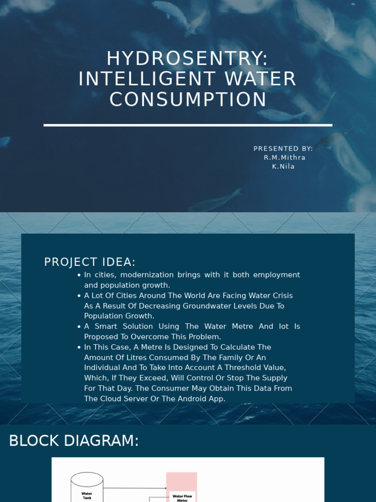 Hydro Project | PDF