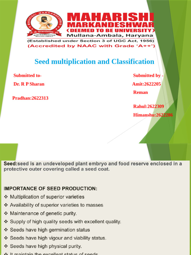 Seed Multiplication and Classification | PDF