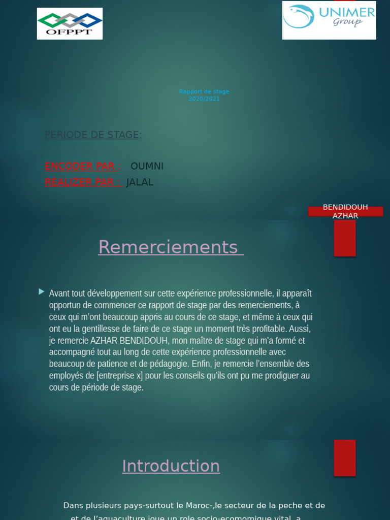 Rapport de stage au groupe Unimer | PDF