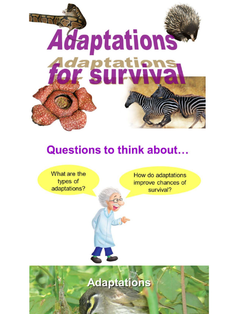 Adaptation For Survival | PDF