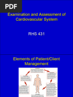 Cardiovascular Assessment Documentation Guide | PDF