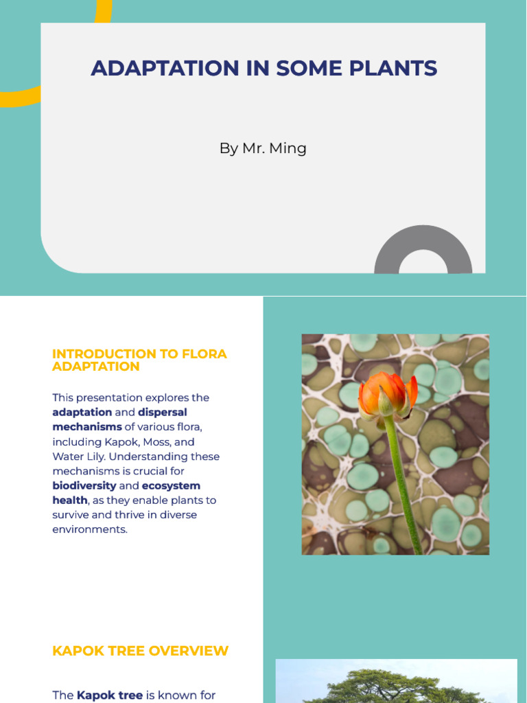 Exploring The Adaptation and Dispersal Mechanisms of Diverse Flora A ...