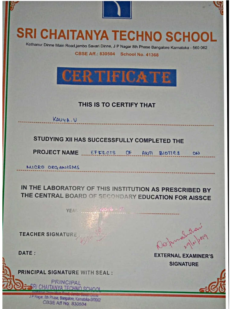 Cbse Project Reference | PDF